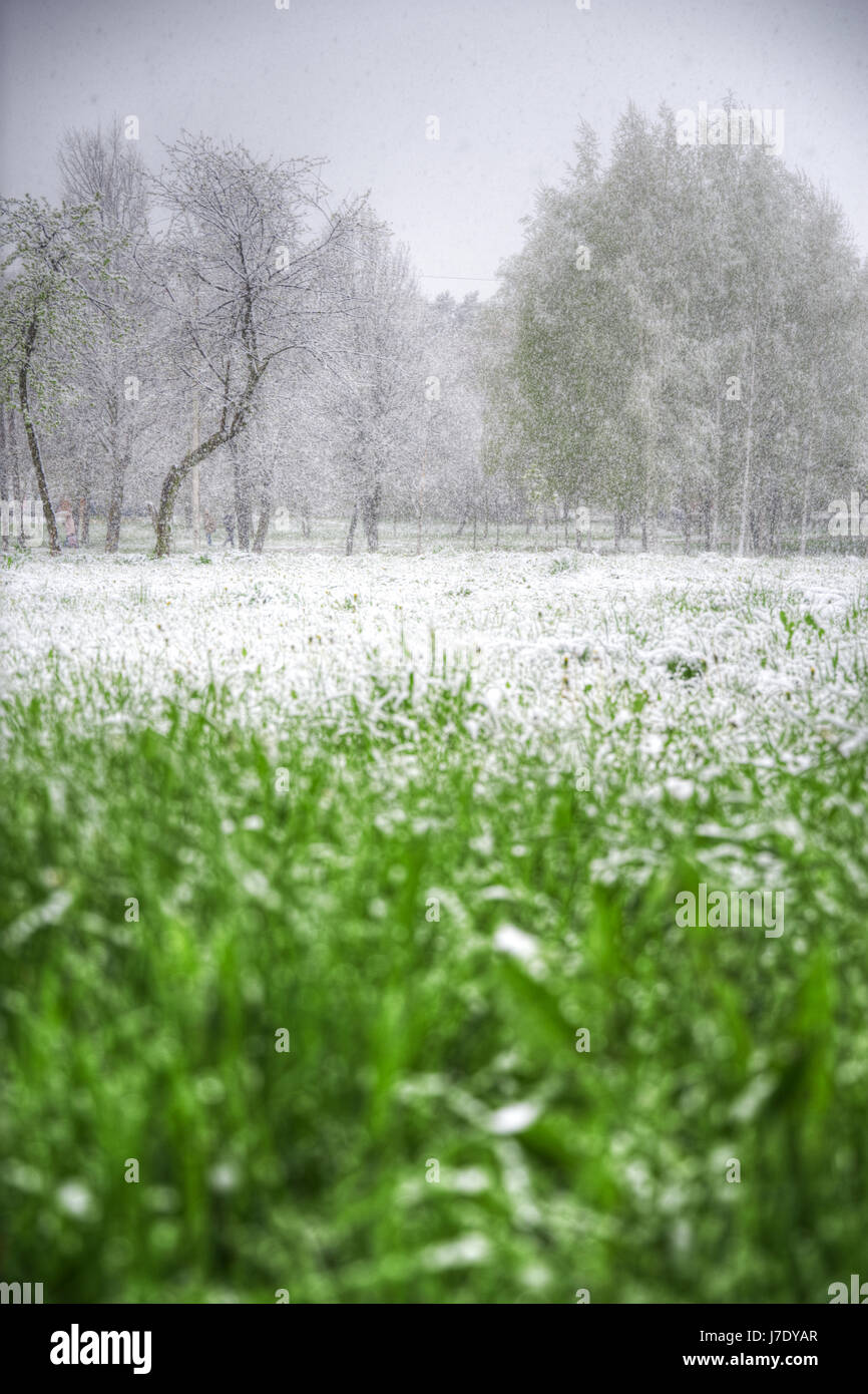 Snow goes in the summer. Abnormal weather. changing of the climate ...