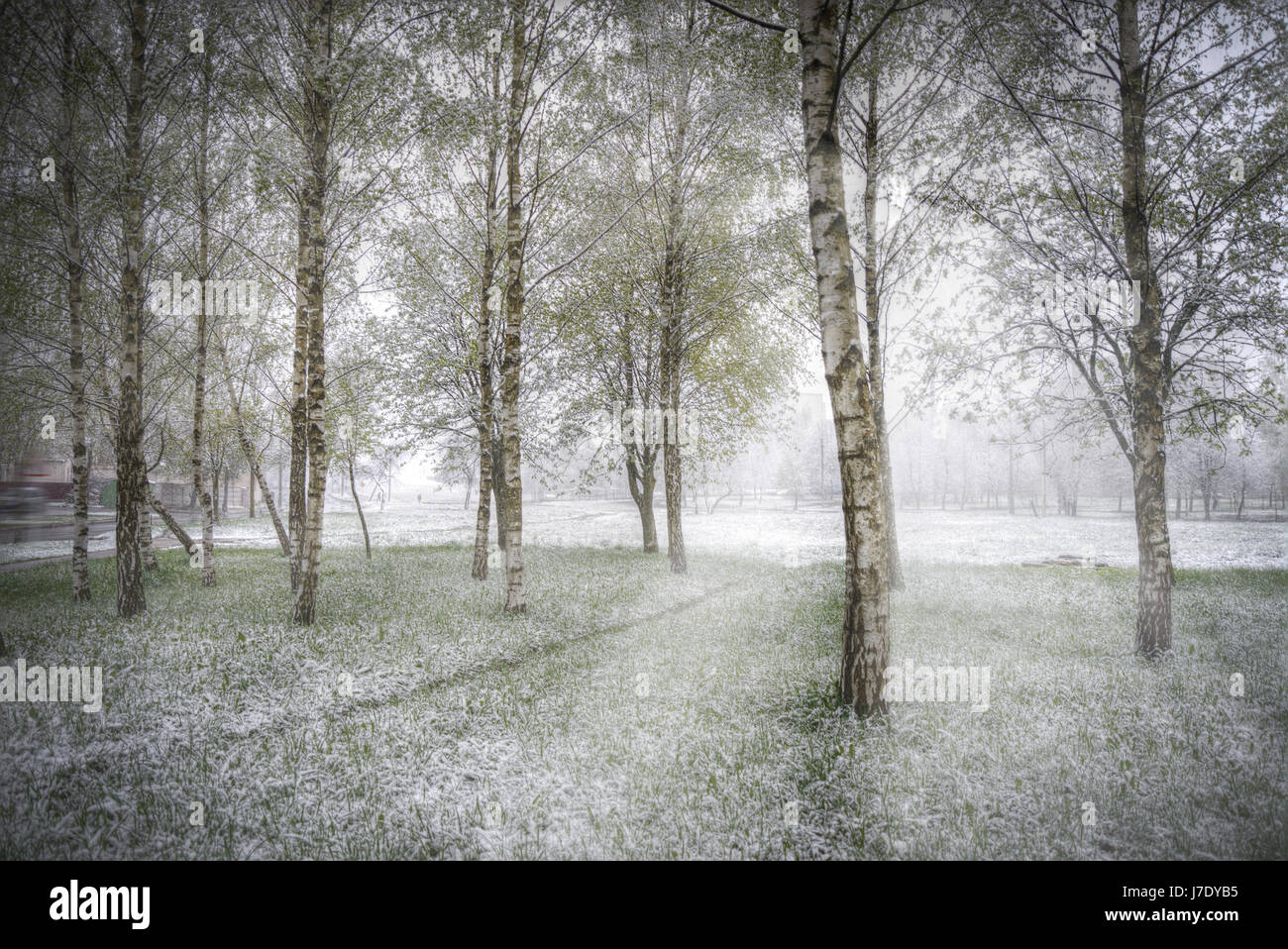 Snow goes in the summer. Abnormal weather. changing of the climate ...