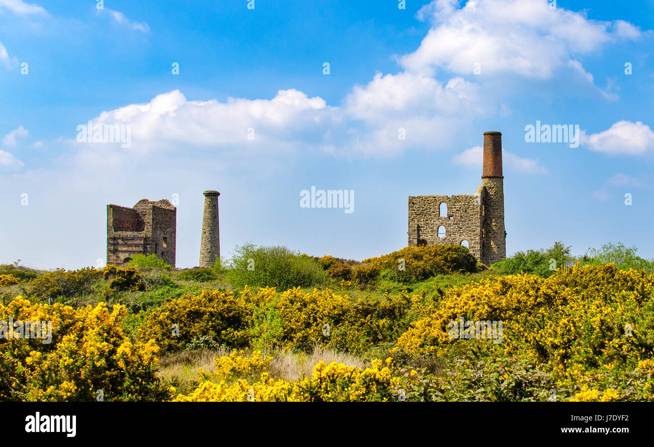 Cook's Kitchen Mine near Pool, Cornwall, UK. The pumping house is to ...