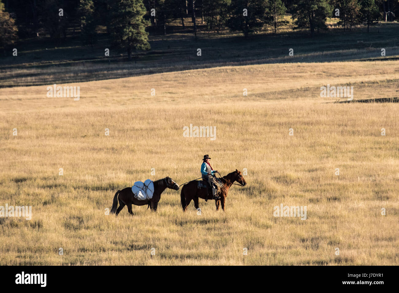 Cowboy riding horse pack horse hi-res stock photography and images - Alamy
