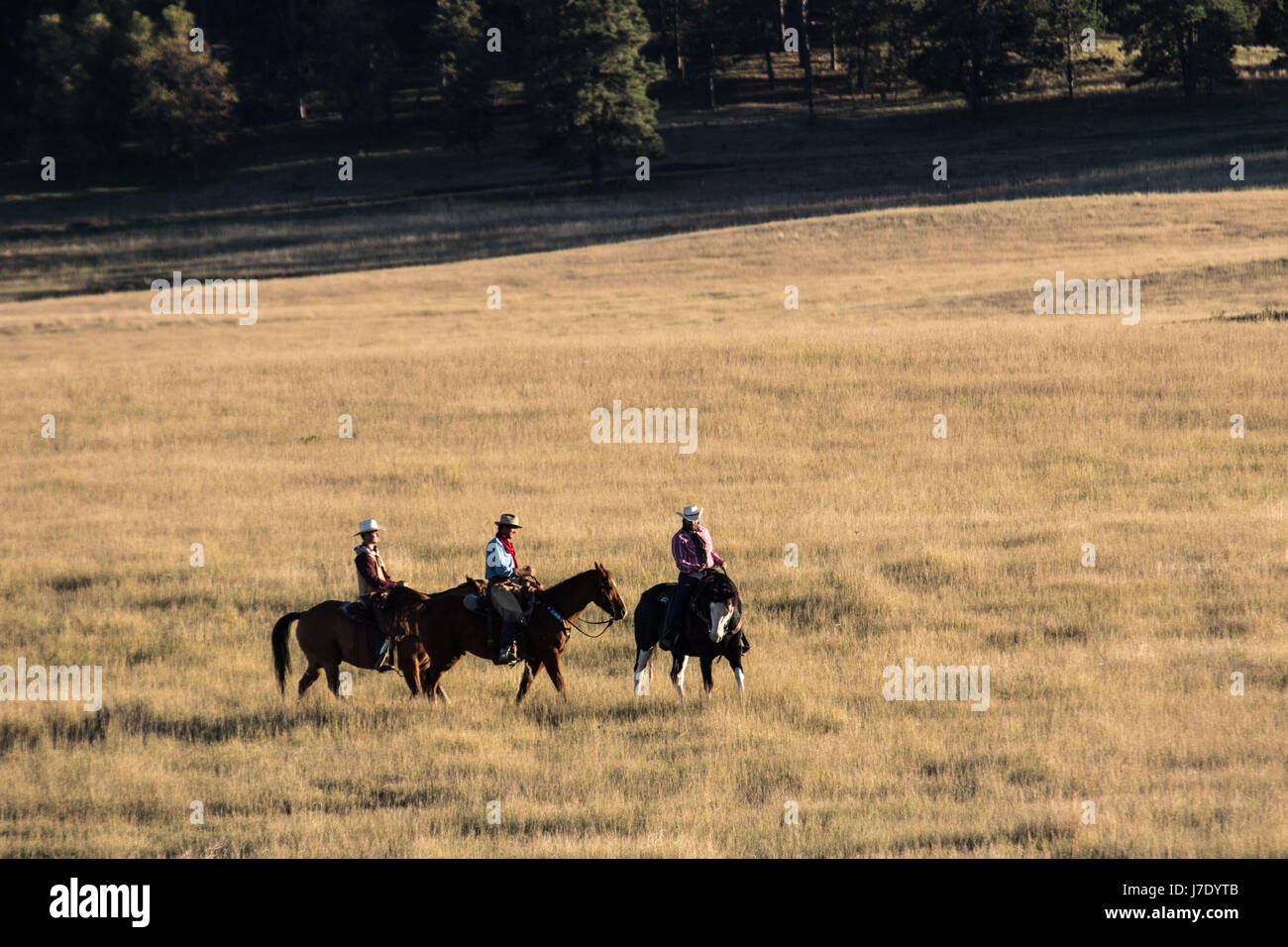 Three Cowboys riding the plains in South Dakota Stock Photo - Alamy