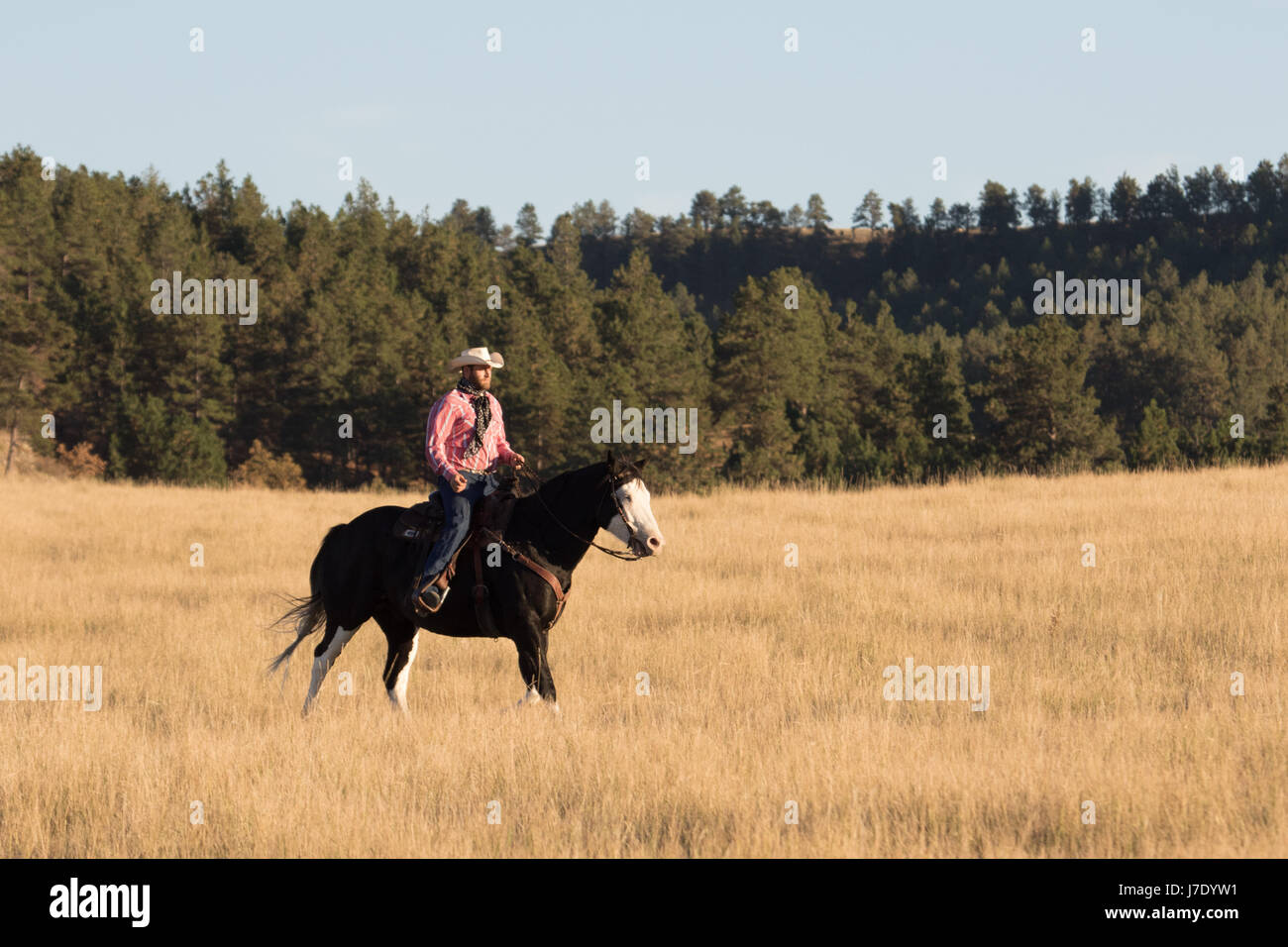 Lone Cowboy riding the plains Stock Photo - Alamy