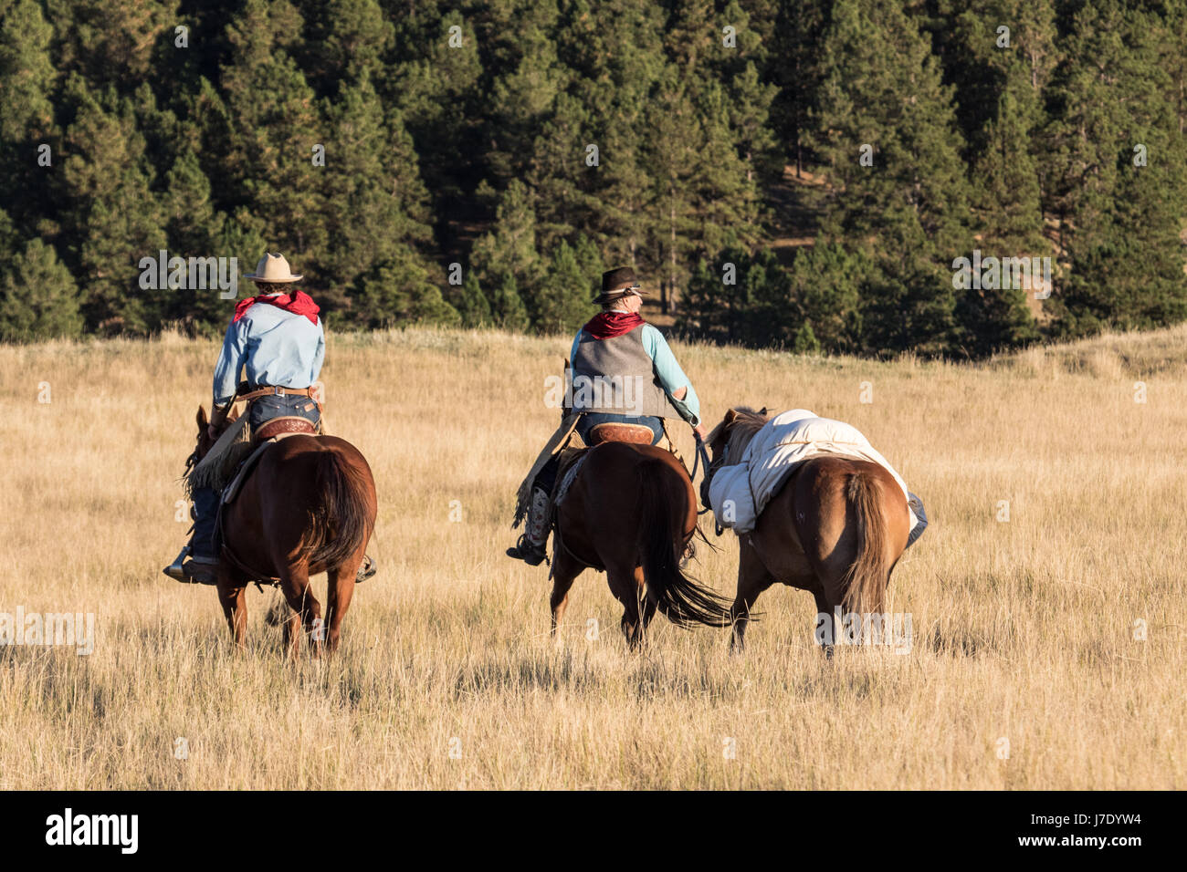 Two cowboys riding horses hi-res stock photography and images - Alamy