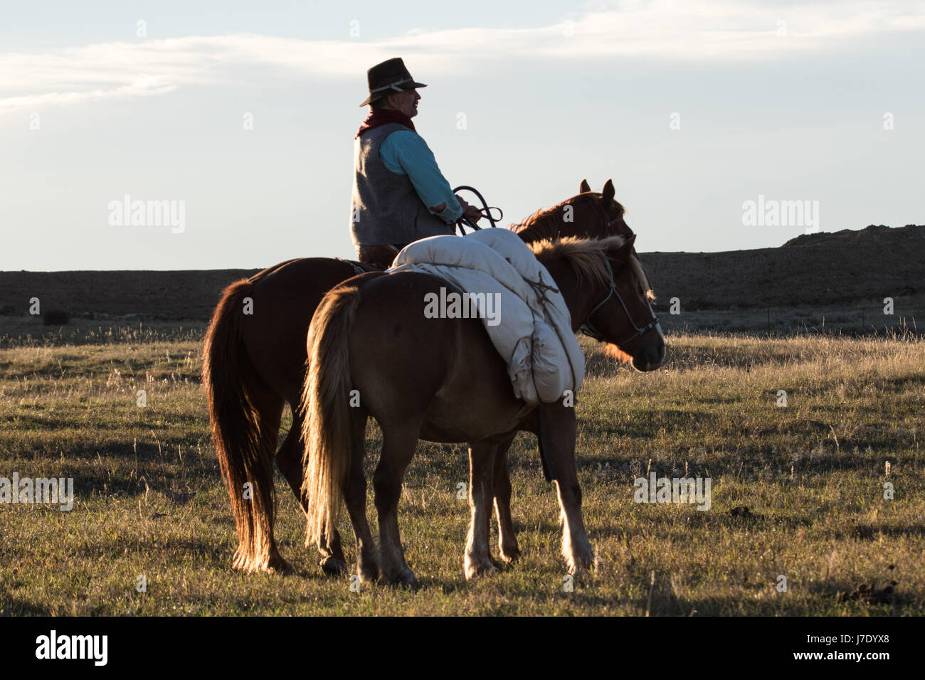 Cowboy riding horse pack horse hi-res stock photography and images - Alamy