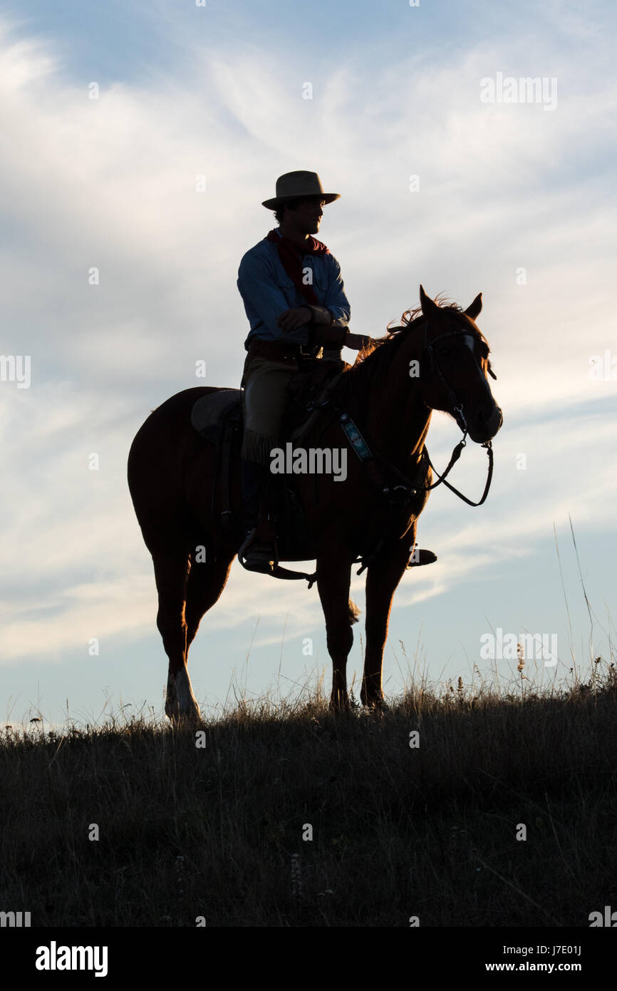 Lone cowboy in silhouette Stock Photo - Alamy