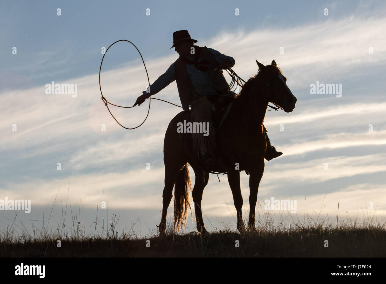 Cowboy lasso silhouette hi-res stock photography and images - Alamy