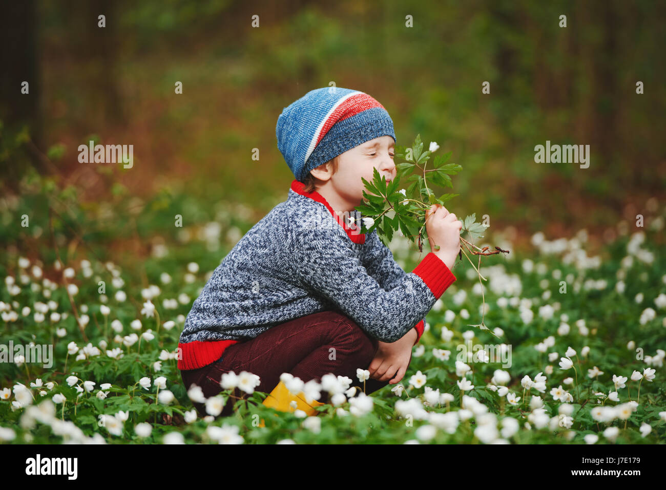 little boy in spring forest with many flowers Stock Photo - Alamy