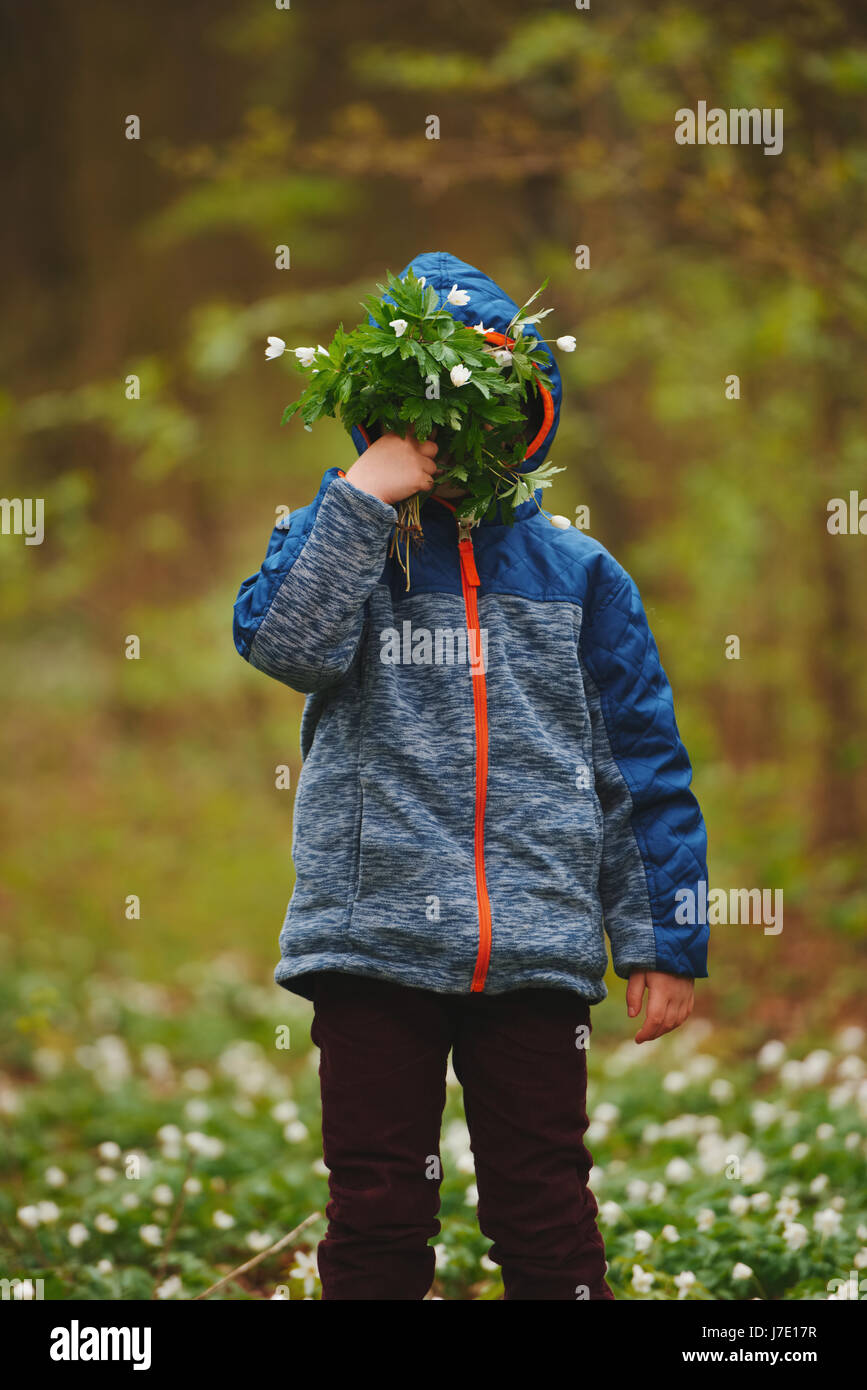 little boy in spring forest with many flowers Stock Photo - Alamy