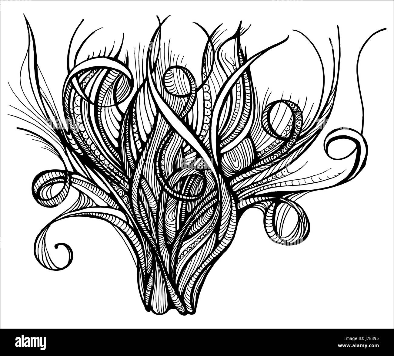 Hair Swirl Vector High Resolution Stock Photography and Images - Alamy