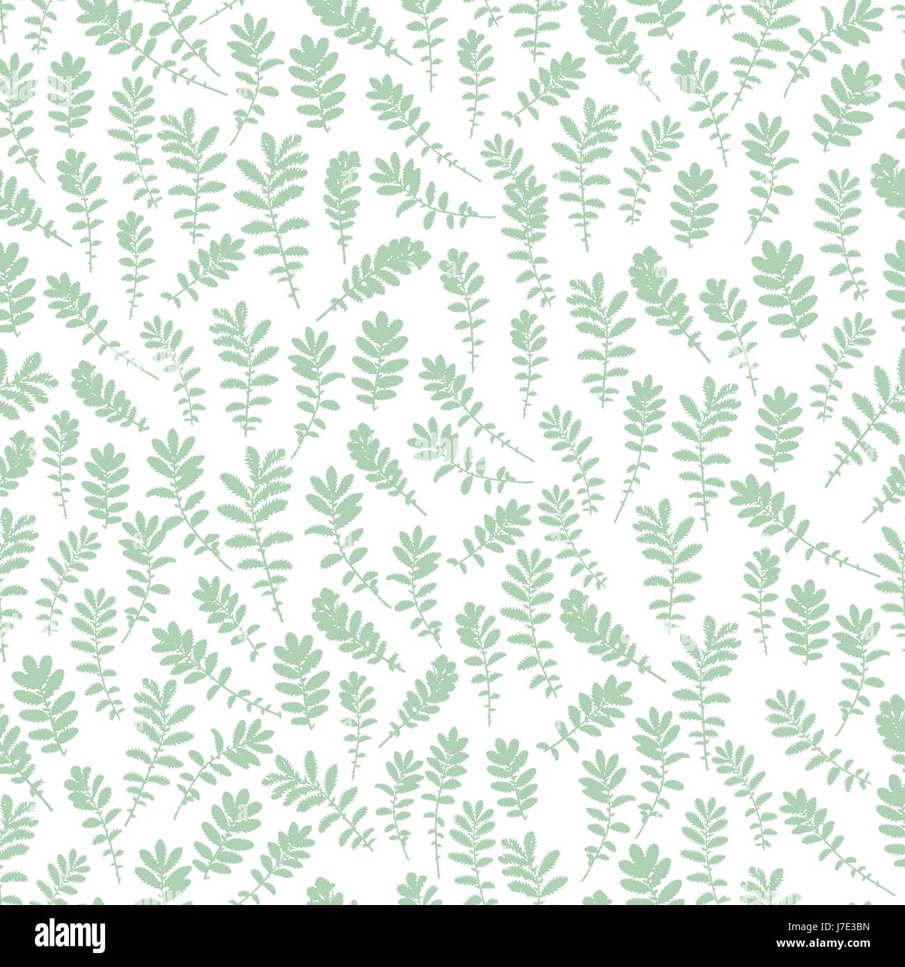 Long leaves white background Stock Vector Images - Alamy