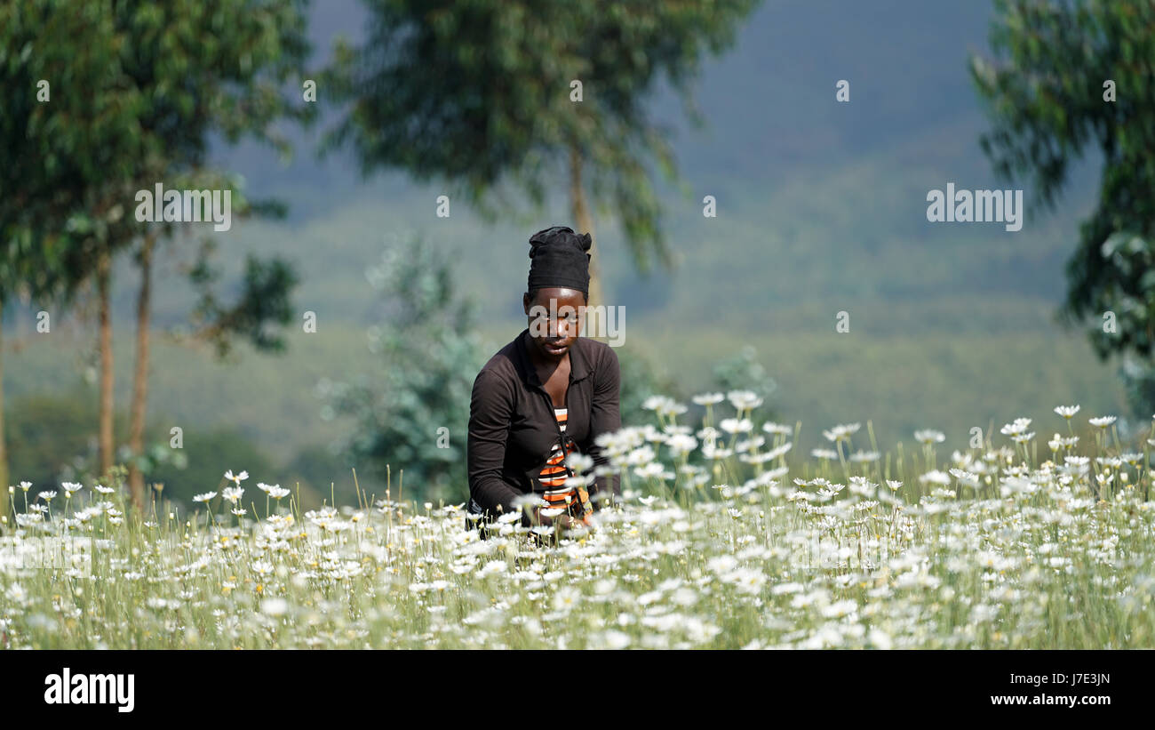 Rwandan woman hi-res stock photography and images - Alamy