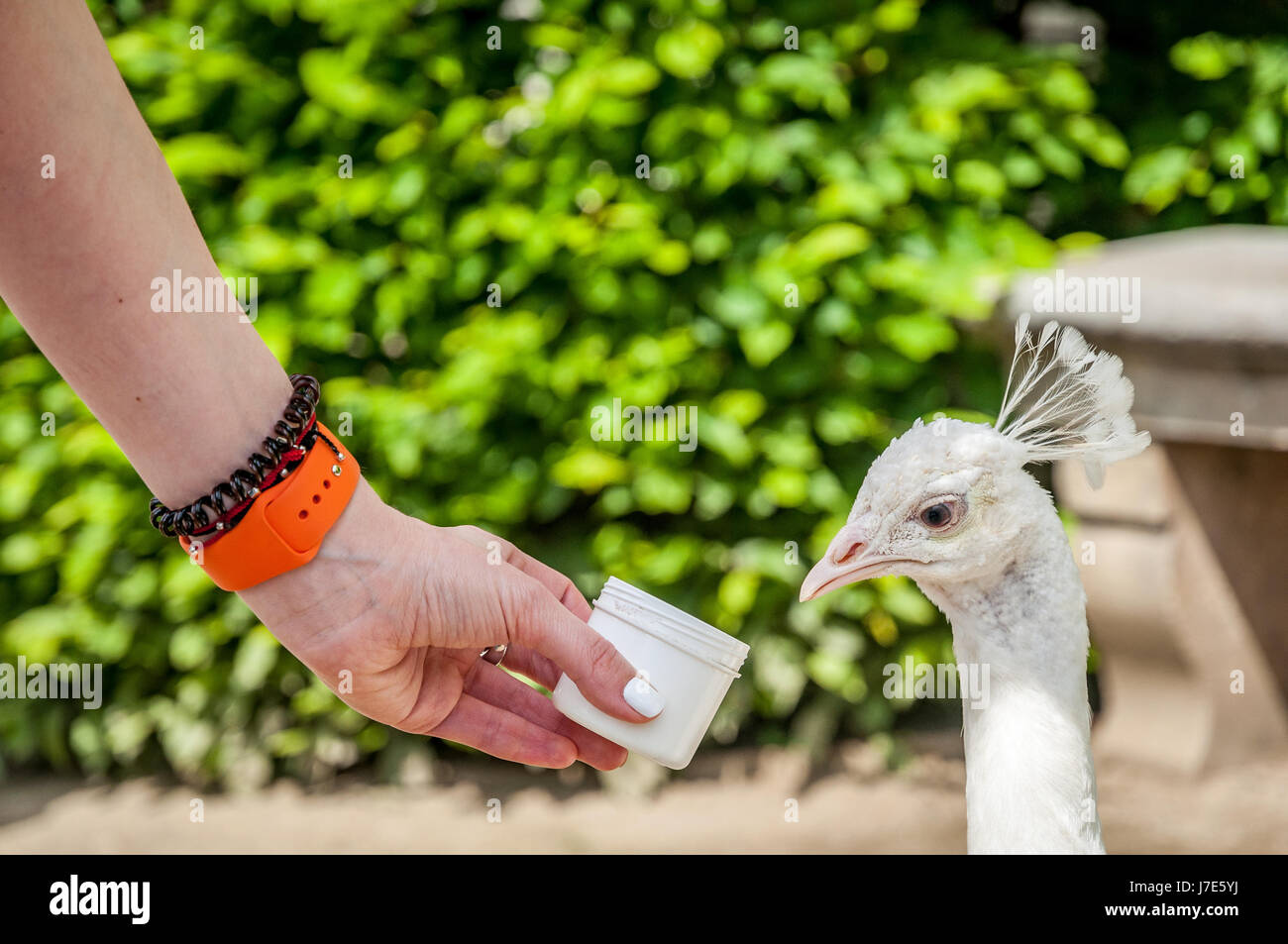 Shots from Prague Stock Photo - Alamy