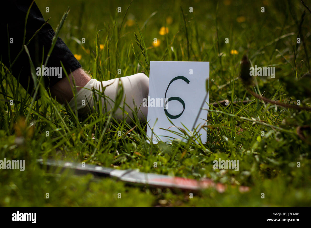 The crime scene, murder, investigation, bloody knife on the grass, an ...