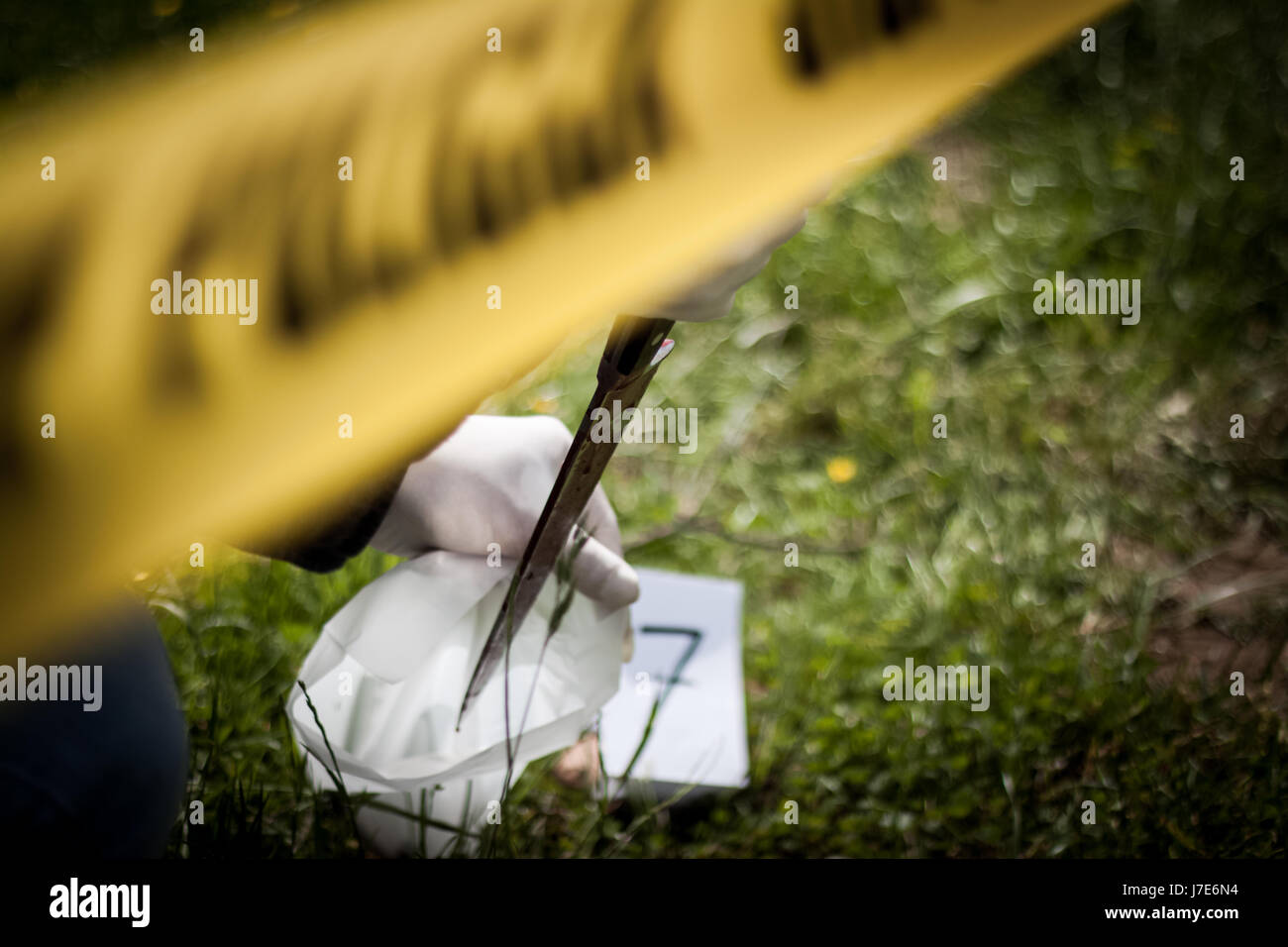 The crime scene, murder, investigation, police found a bloody knife in ...