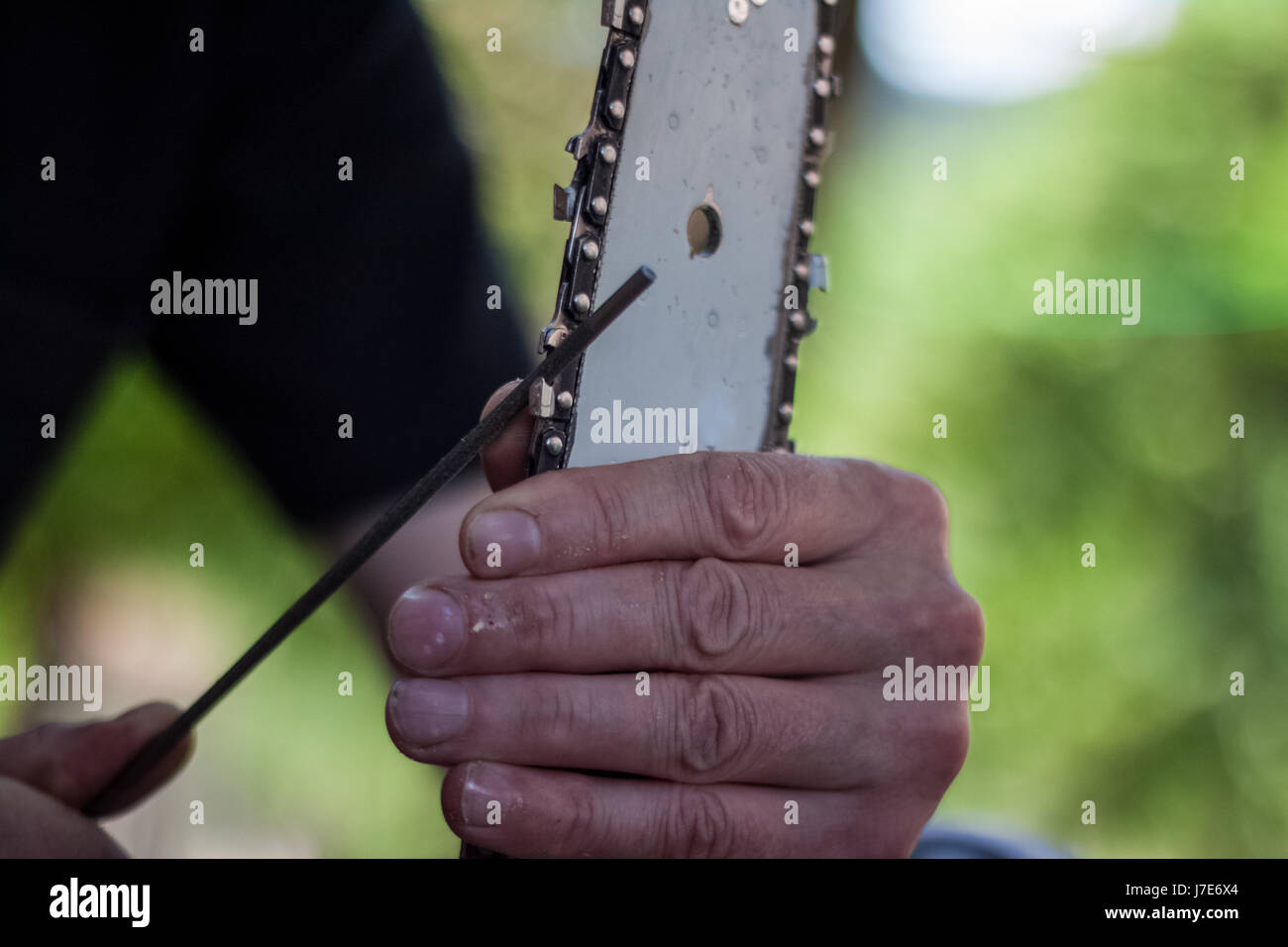 Woodman made a stop in the cutting of trees to sharpen a chain of ...