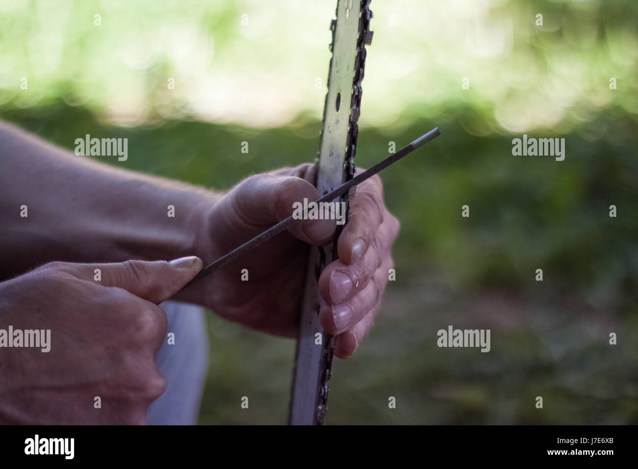 Woodman made a stop in the cutting of trees to sharpen a chain of ...