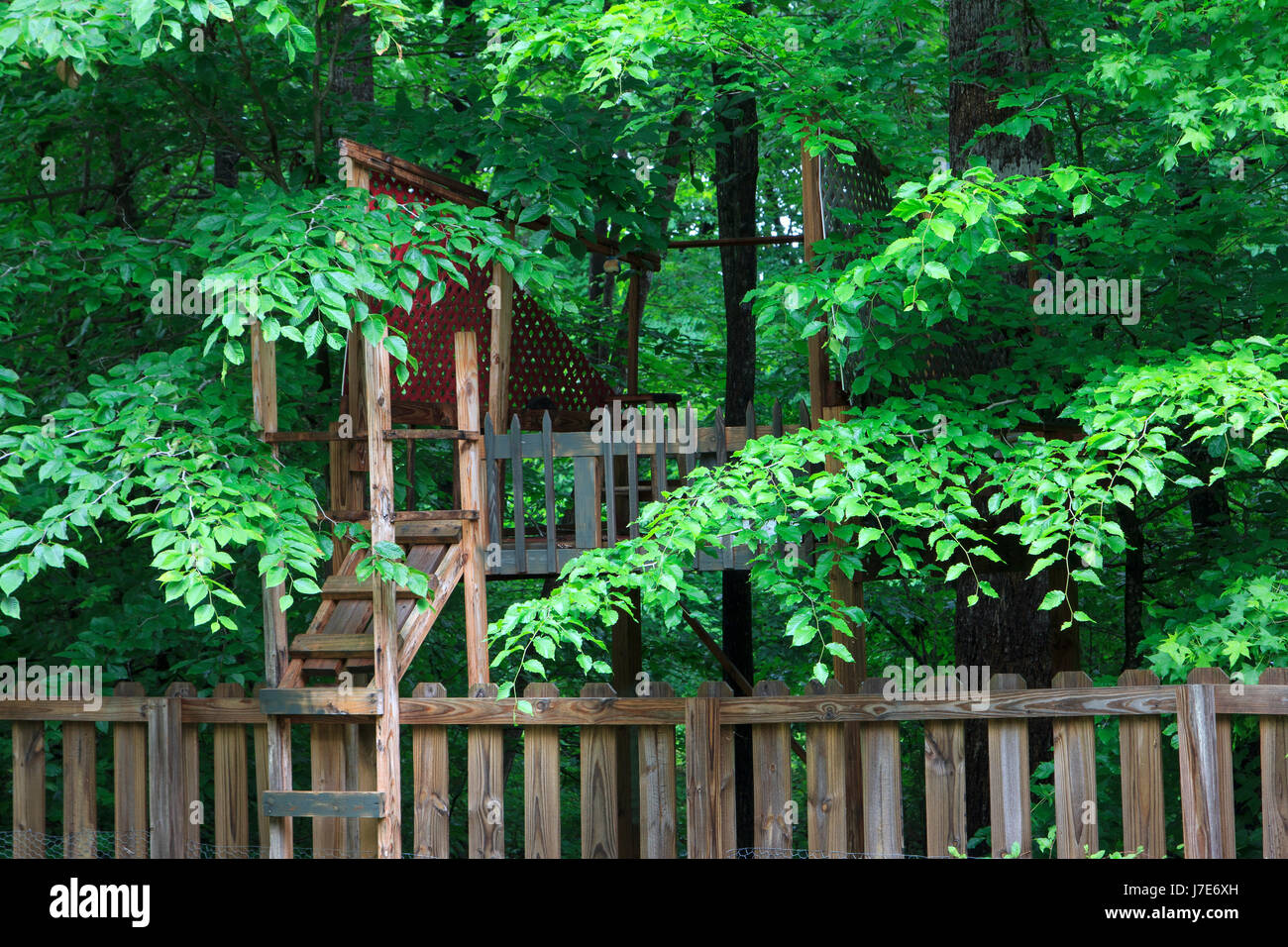 Backyard Tree house in woods Stock Photo - Alamy