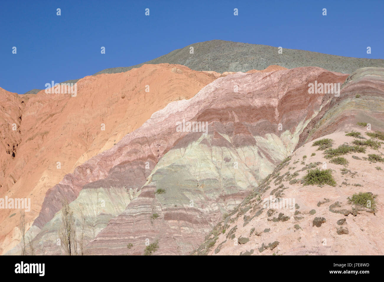 Colores de colores colores de colores colores de colores colores de ...