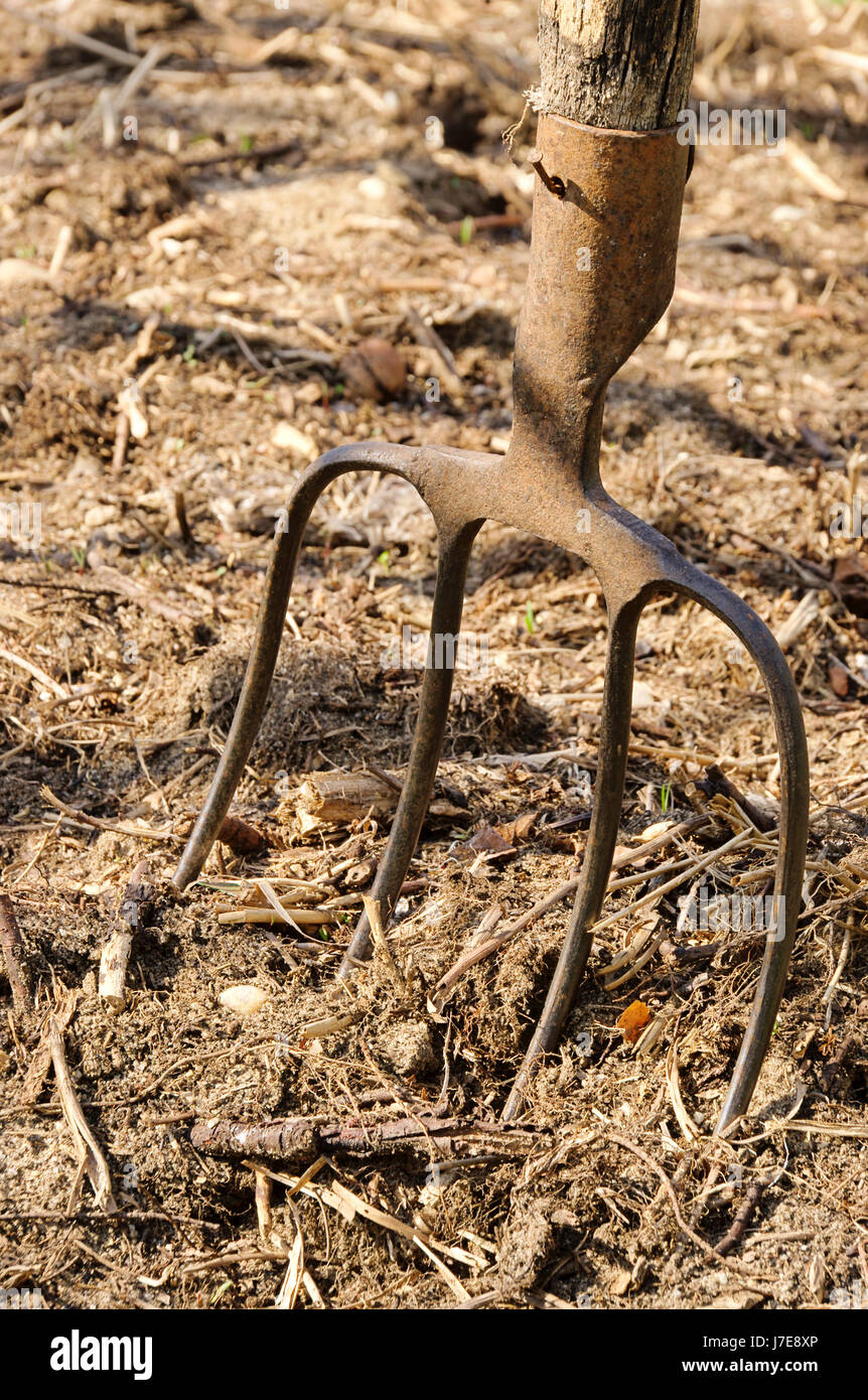 pitchfork - pitchfork 01 Stock Photo - Alamy