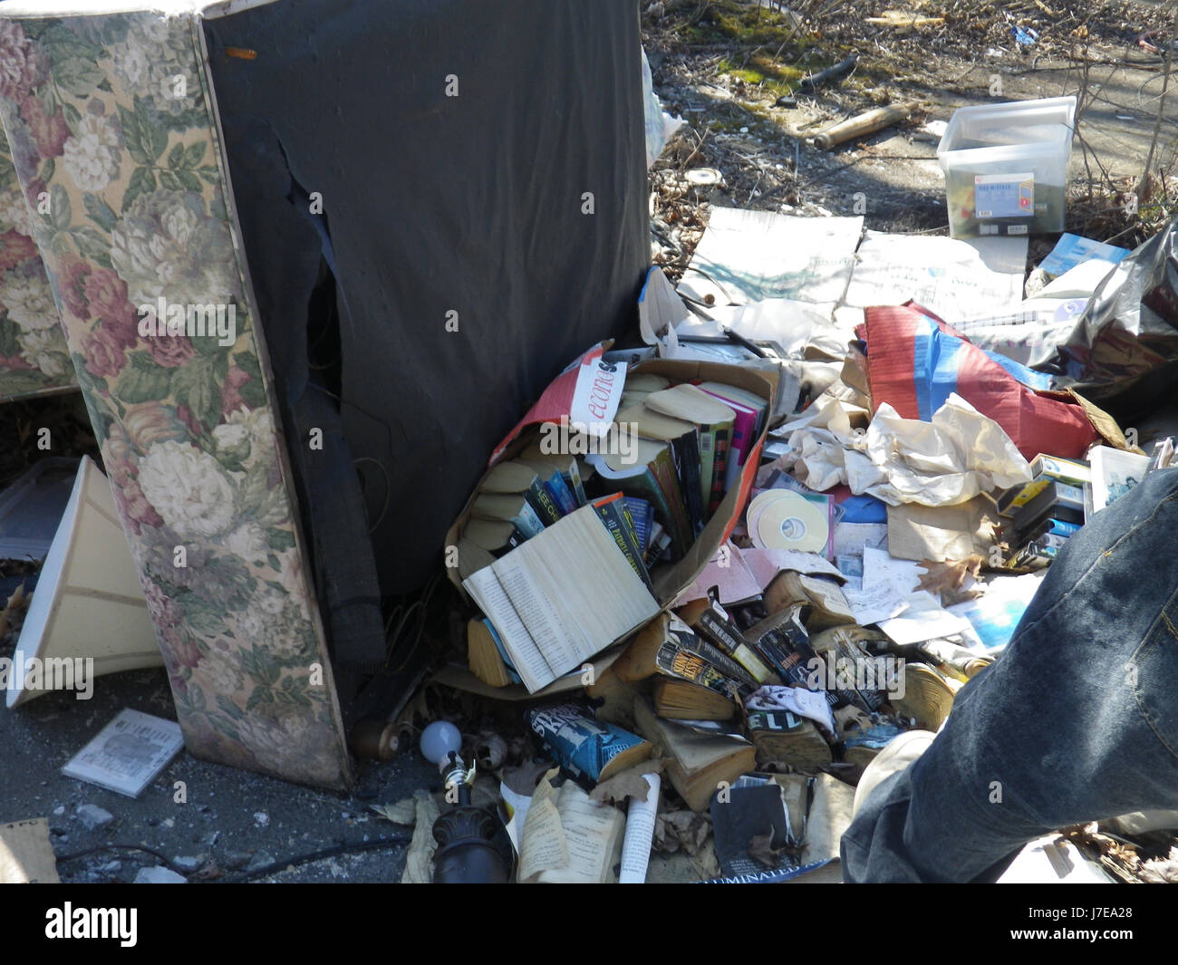 DISTURBING images offer a glimpse into the decaying remains of a 1960s ...