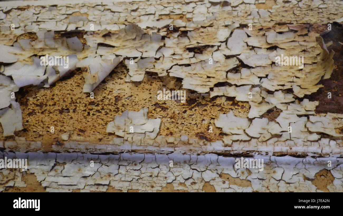 DISTURBING images offer a glimpse into the decaying remains of a 1960s ...