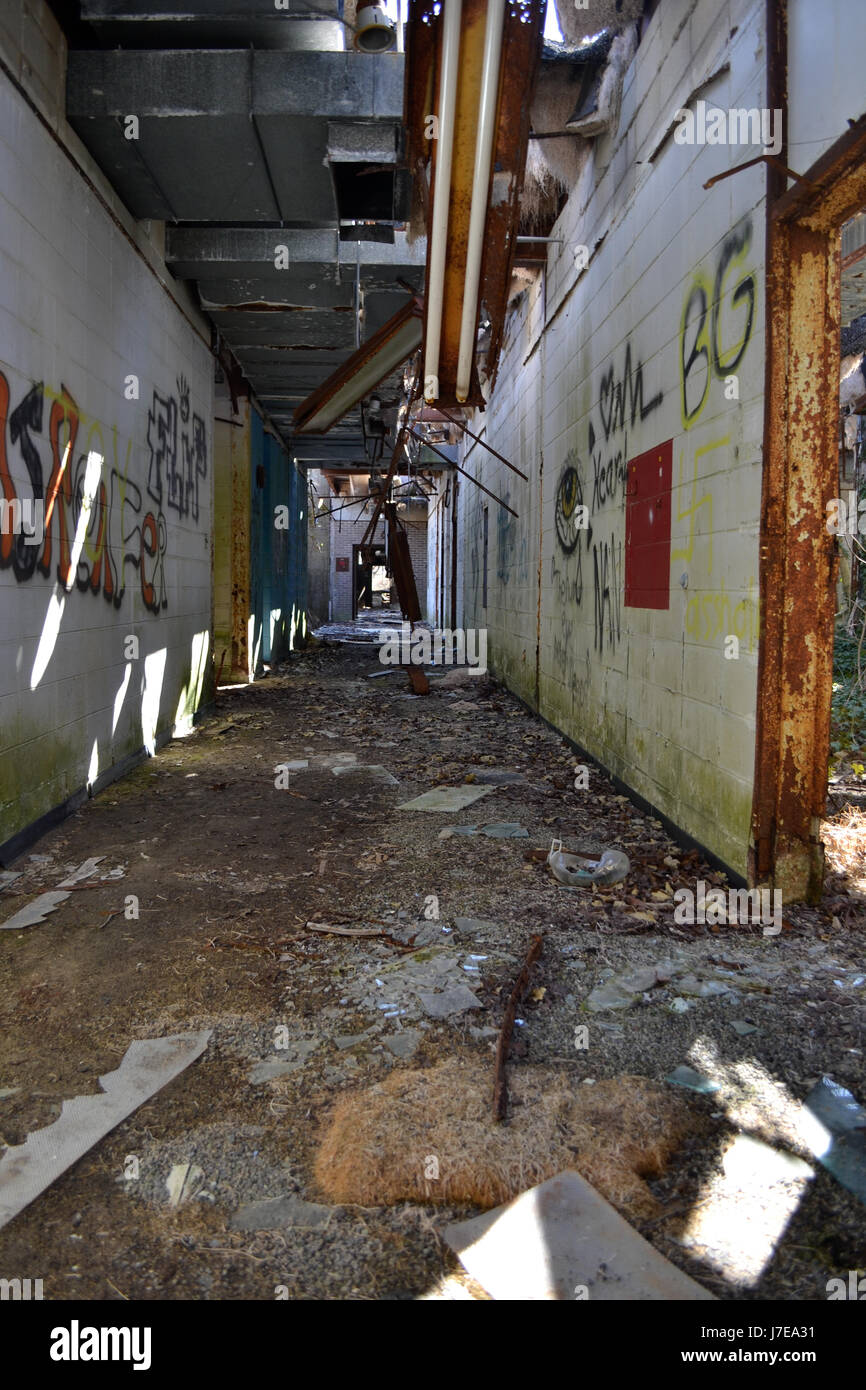 DISTURBING images offer a glimpse into the decaying remains of a 1960s ...