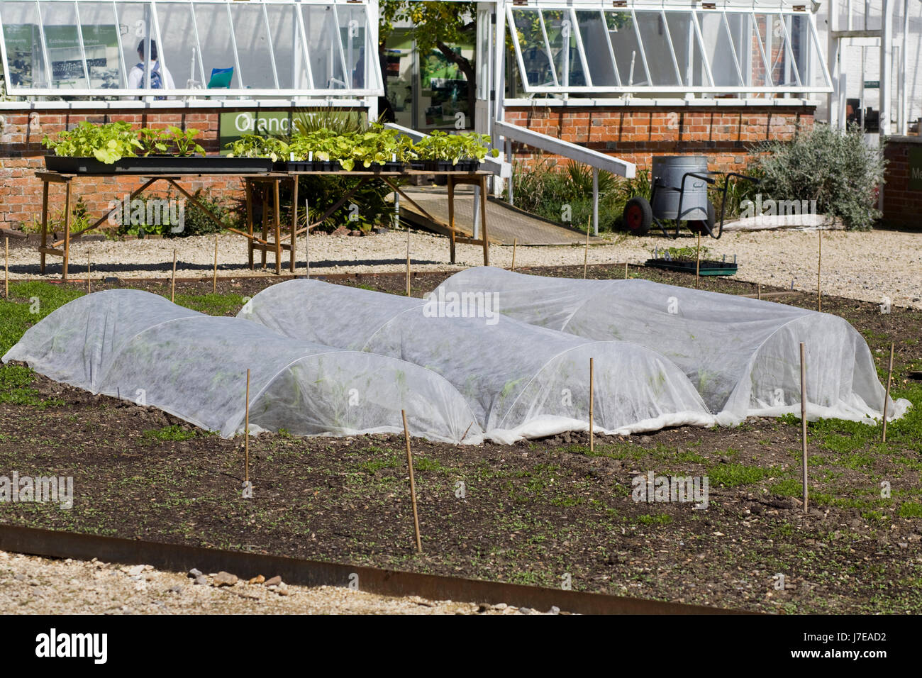 Insect Mesh Garden Growing Tunnel Stock Photo - Alamy