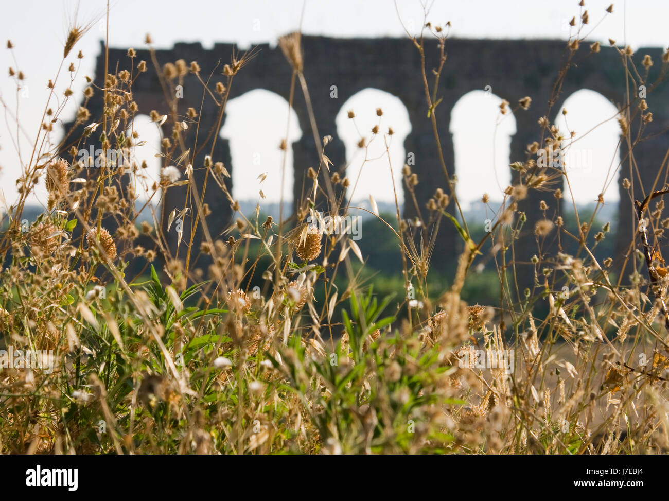 monument arch water mediterranean salt water sea ocean Rome roma ...