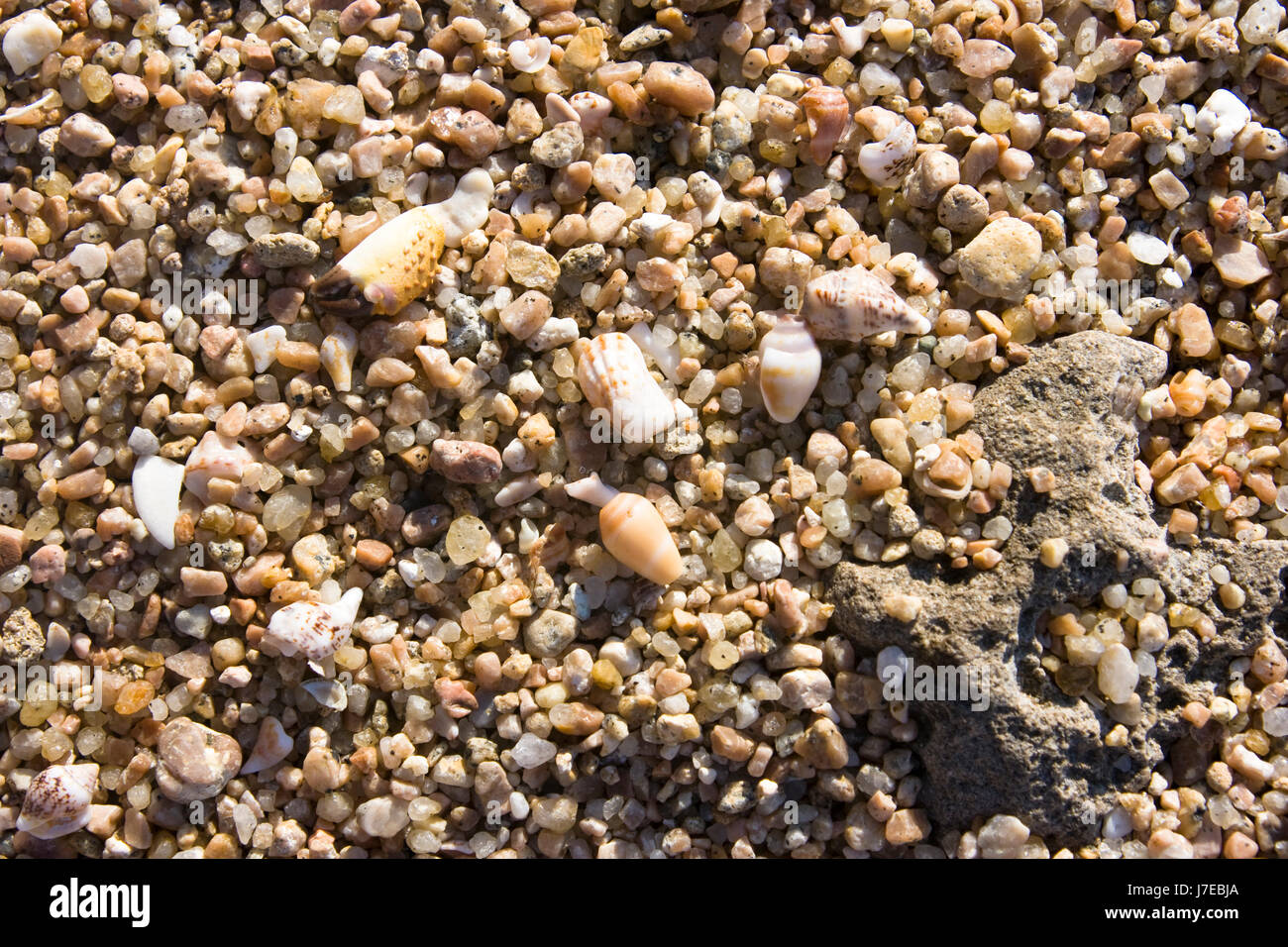 stone rough beach seaside the beach seashore pebbles salt water sea ...