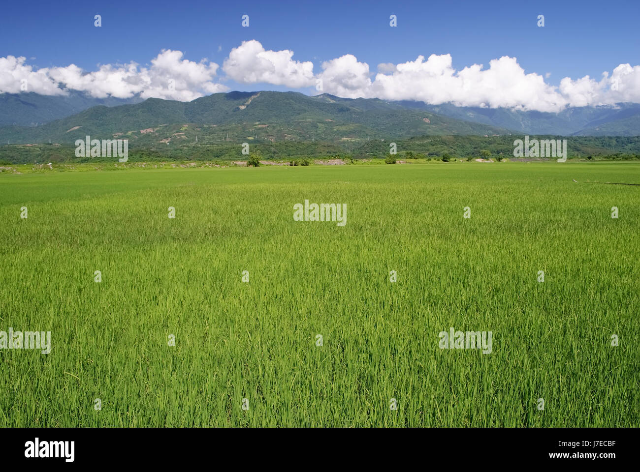 Horizontal scenic scenery outlook beautiful rural outside hi-res stock ...