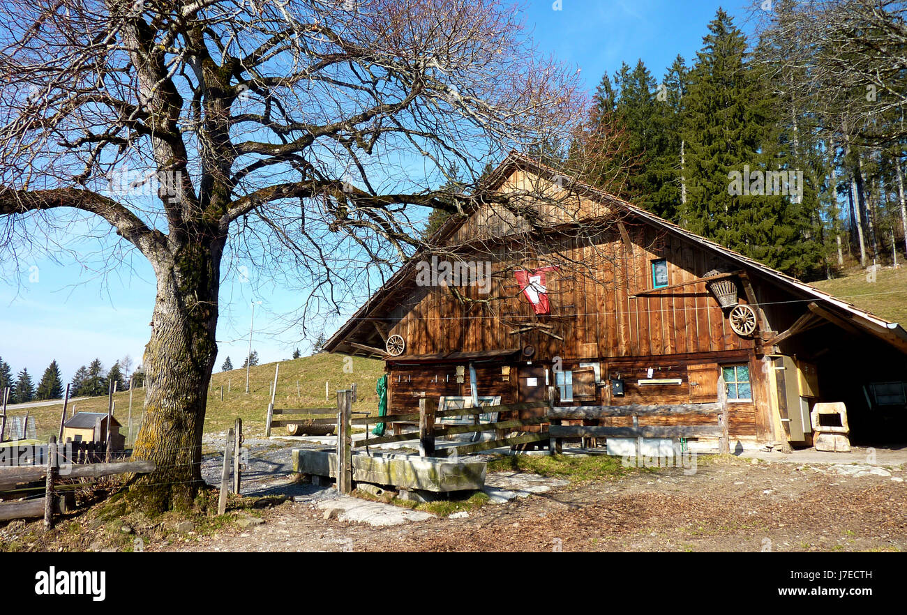 on the alm Stock Photo - Alamy