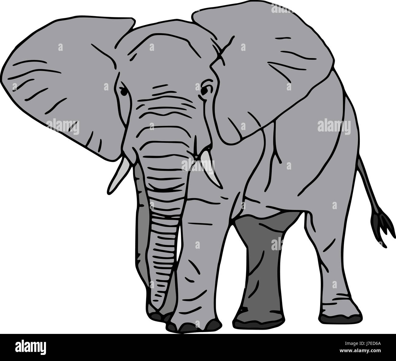 isolated colour illustration paint draw cartoon close big large ...