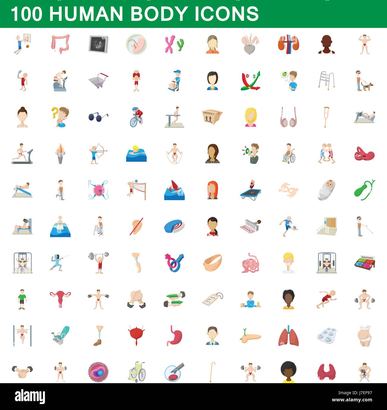 Human anatomy icons parts hi-res stock photography and images - Alamy