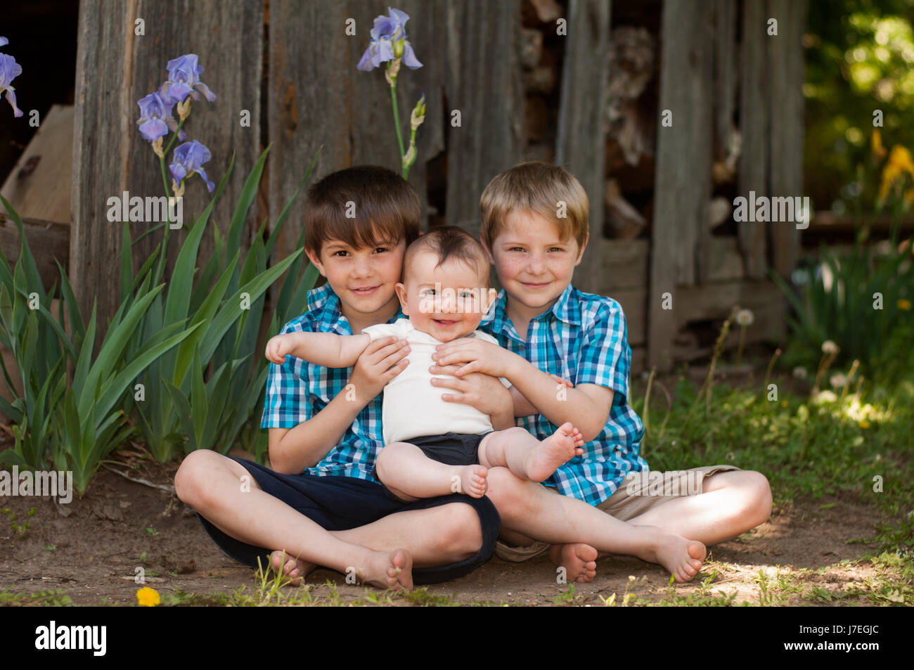 three boy brothers portrait Stock Photo - Alamy