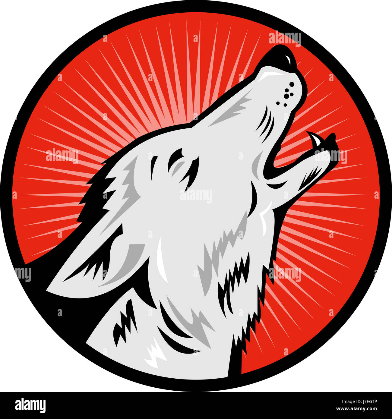 animal wild dog wildlife hoot hooting howling howl wolf canine animal ...