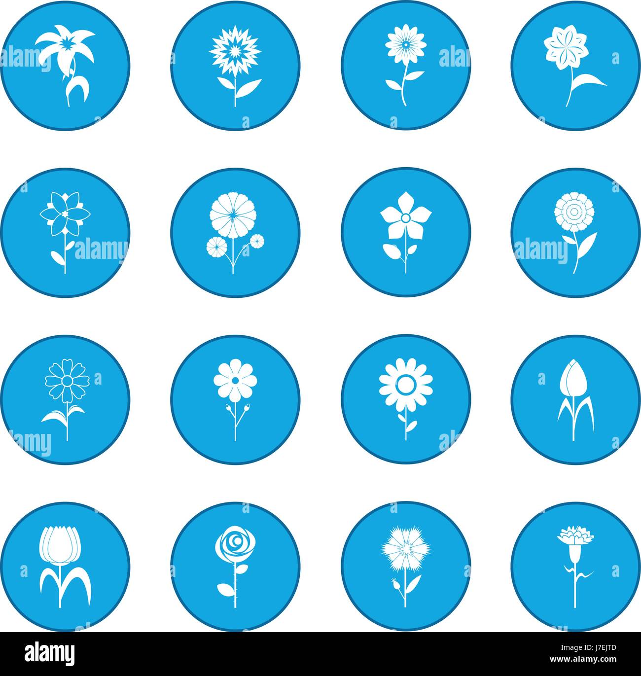 Lilac daisy purple flower Stock Vector Images - Alamy