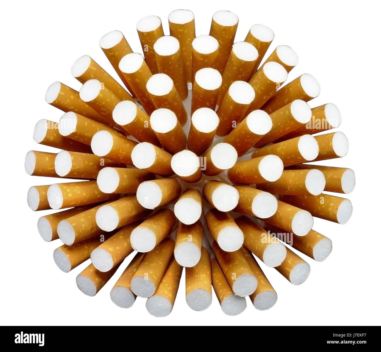 cigarette health flower plant cigarettes nicotine bundle smoker whiff ...