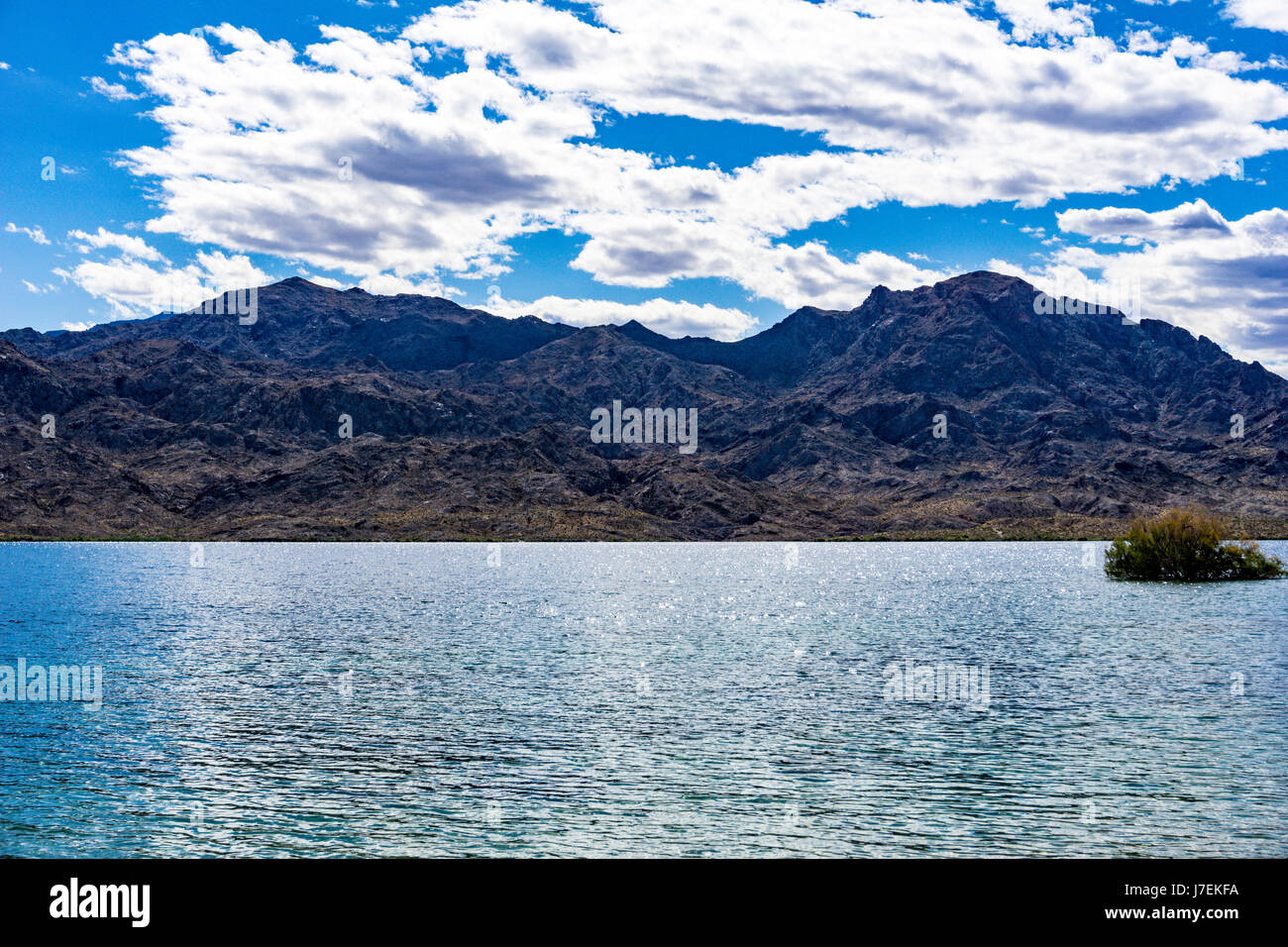 Lake Mohave Arizona Stock Photo - Alamy
