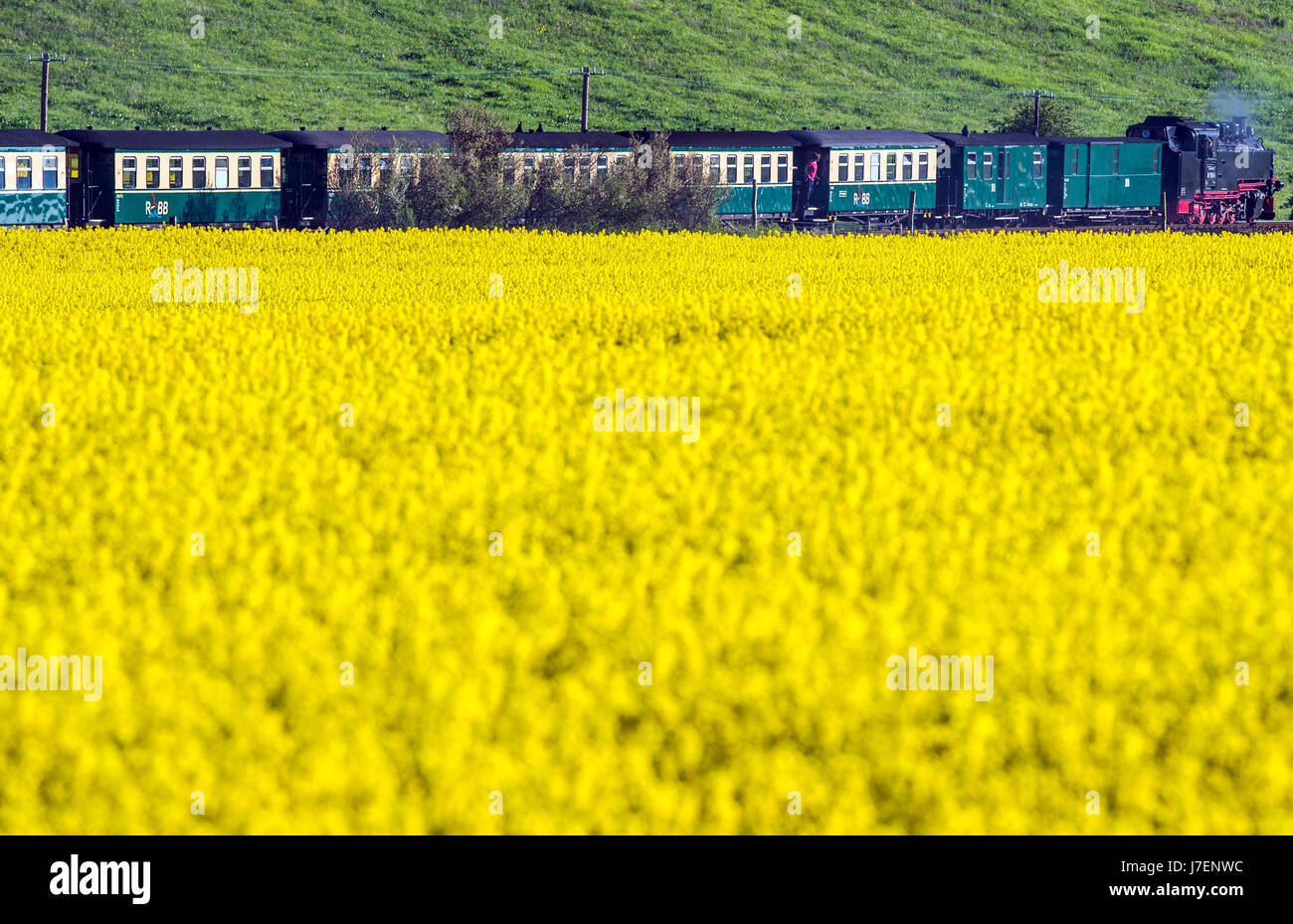 A type 99 1782-4 steam engine built in 1953 pulls carriages along a ...