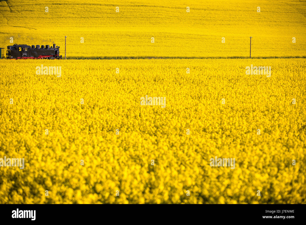 A type 99 1782-4 steam engine built in 1953 pulls carriages along a ...