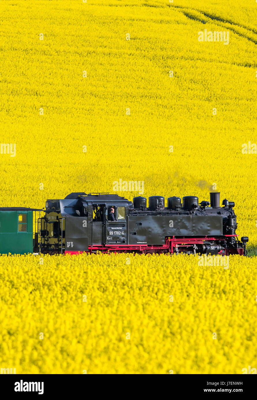 A type 99 1782-4 steam engine built in 1953 pulls carriages along a ...