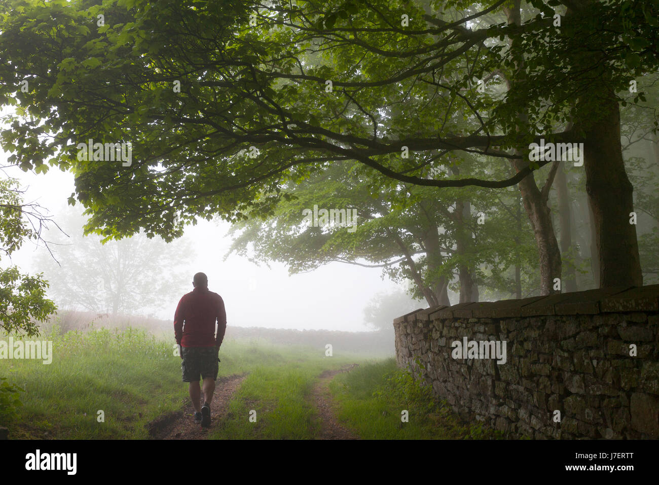 Shadowy man walking hi-res stock photography and images - Alamy
