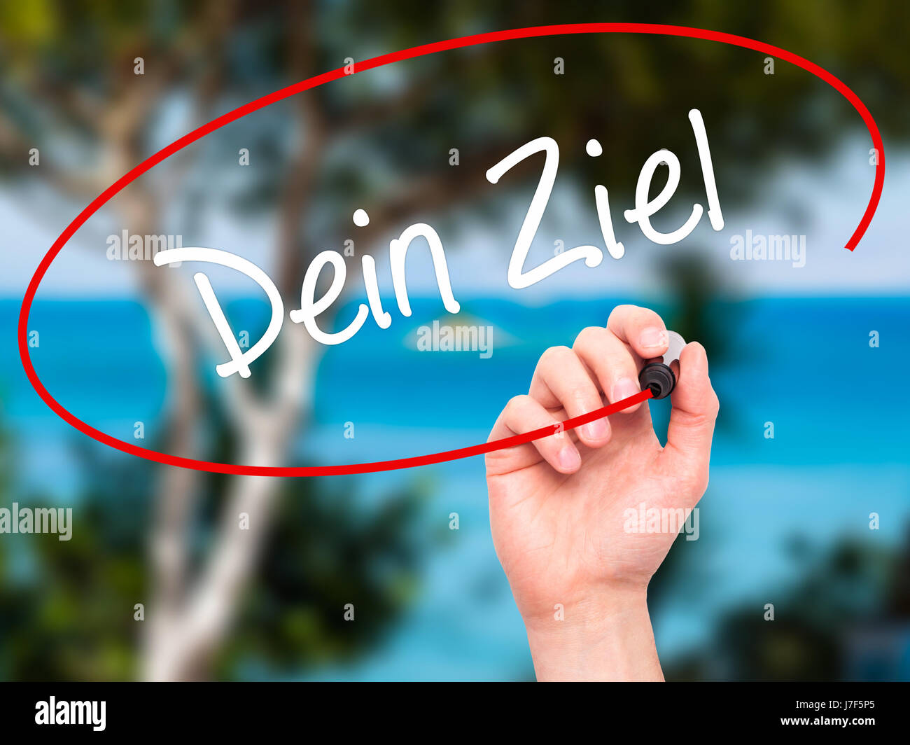 Man Hand writing Dein Ziel (Your Goal in German) with black marker on ...