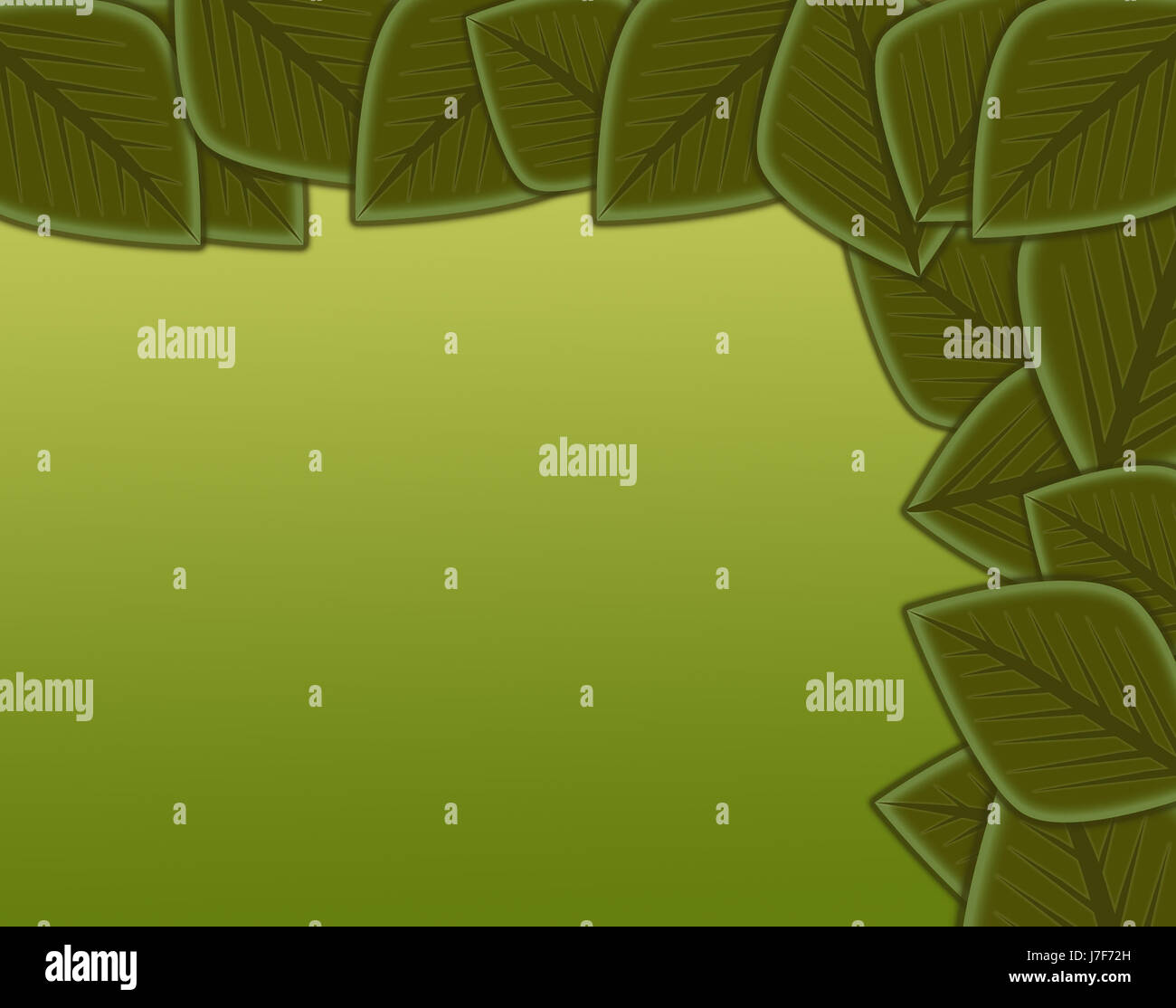 leaf illustration abstract frame lawn green backdrop background ...