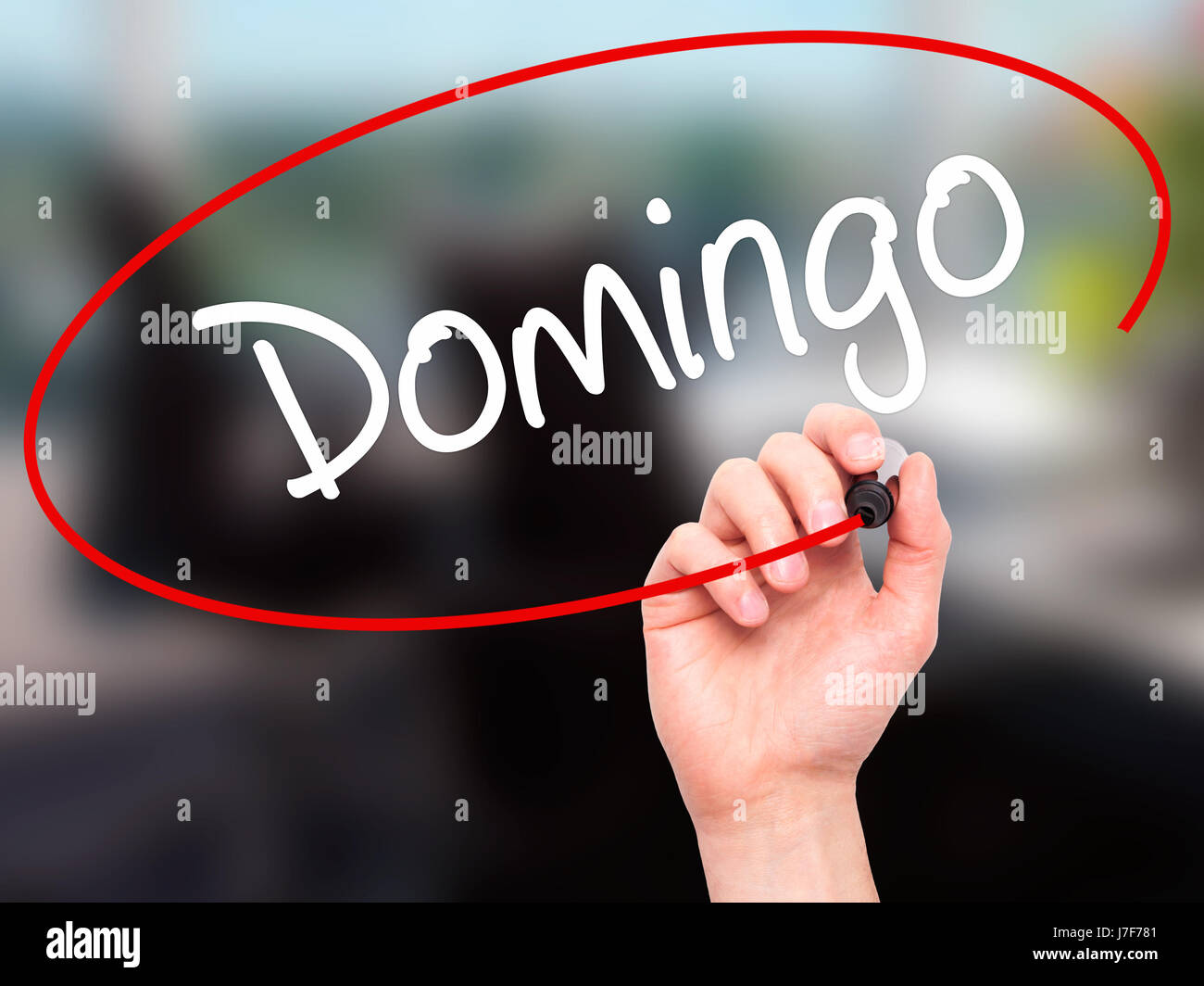 Man Hand writing Domingo (Sunday in Spanish/Portuguese) with black ...