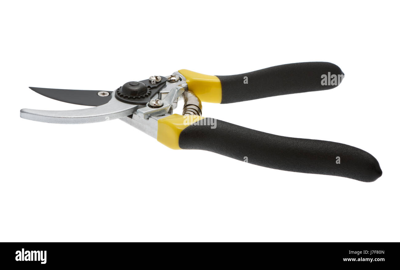 Secateurs studio Cut Out Stock Images & Pictures - Alamy