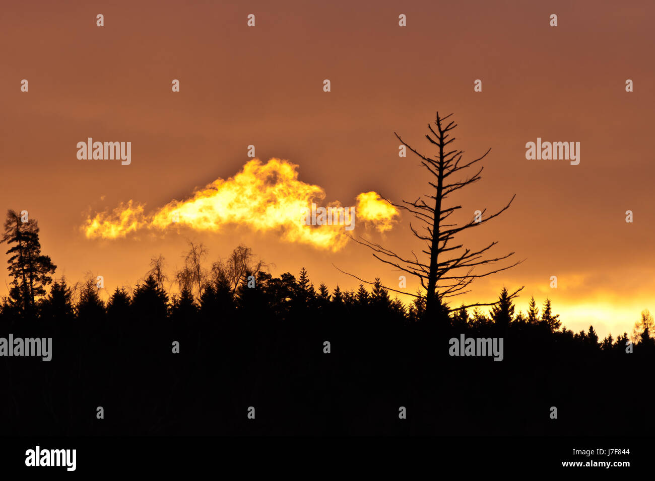 Sunfire hi-res stock photography and images - Alamy