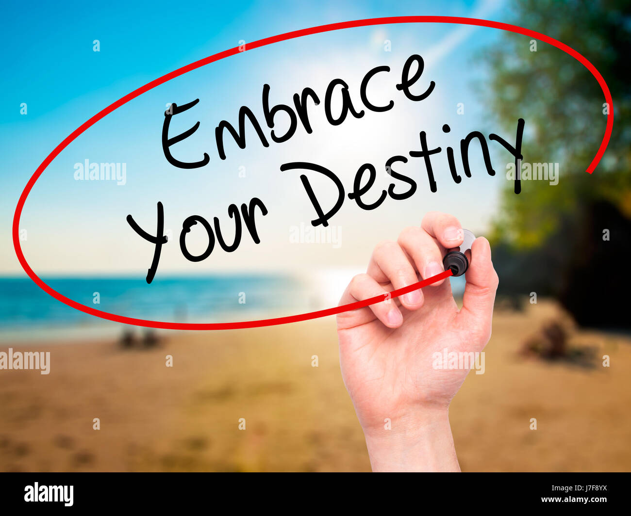 Man Hand writing Embrace Your Destiny with black marker on visual ...