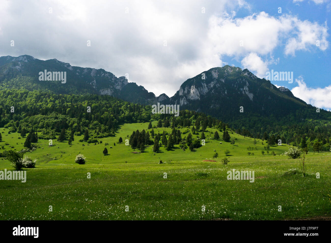 cloud field spring country landscape scenery countryside nature meadow ...
