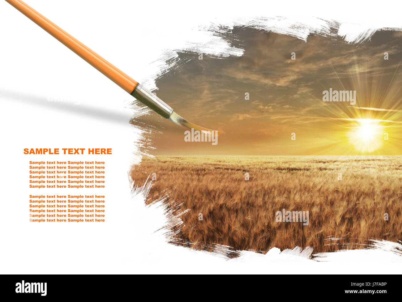 colour field summer summerly spring wheat brush paint paintbrush ...